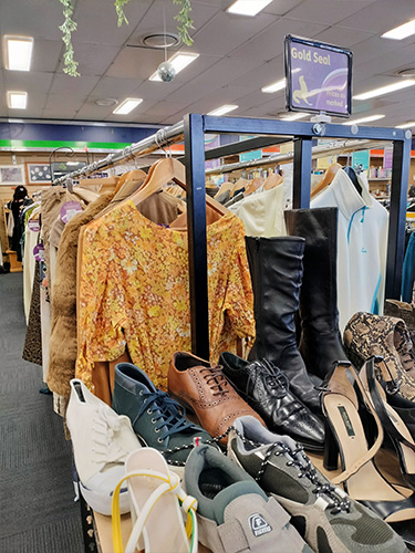 Good Sammy Morley: Back and better than ever - Good Sammy Enterprises